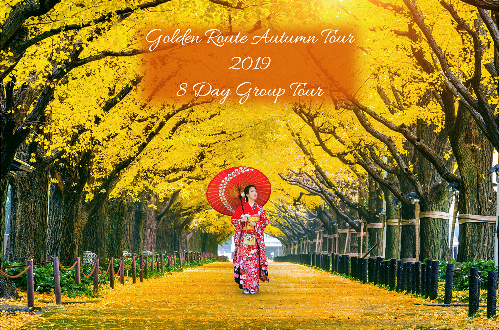 Golden Route 2019 Autumn, 8 Days, Group Tour (Departs November 6th ...
