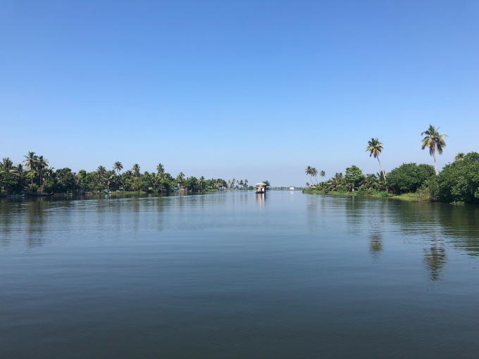 BACKWATER CRUISE, Things To Do in Kochi INDIA | hisgo U.S.A.