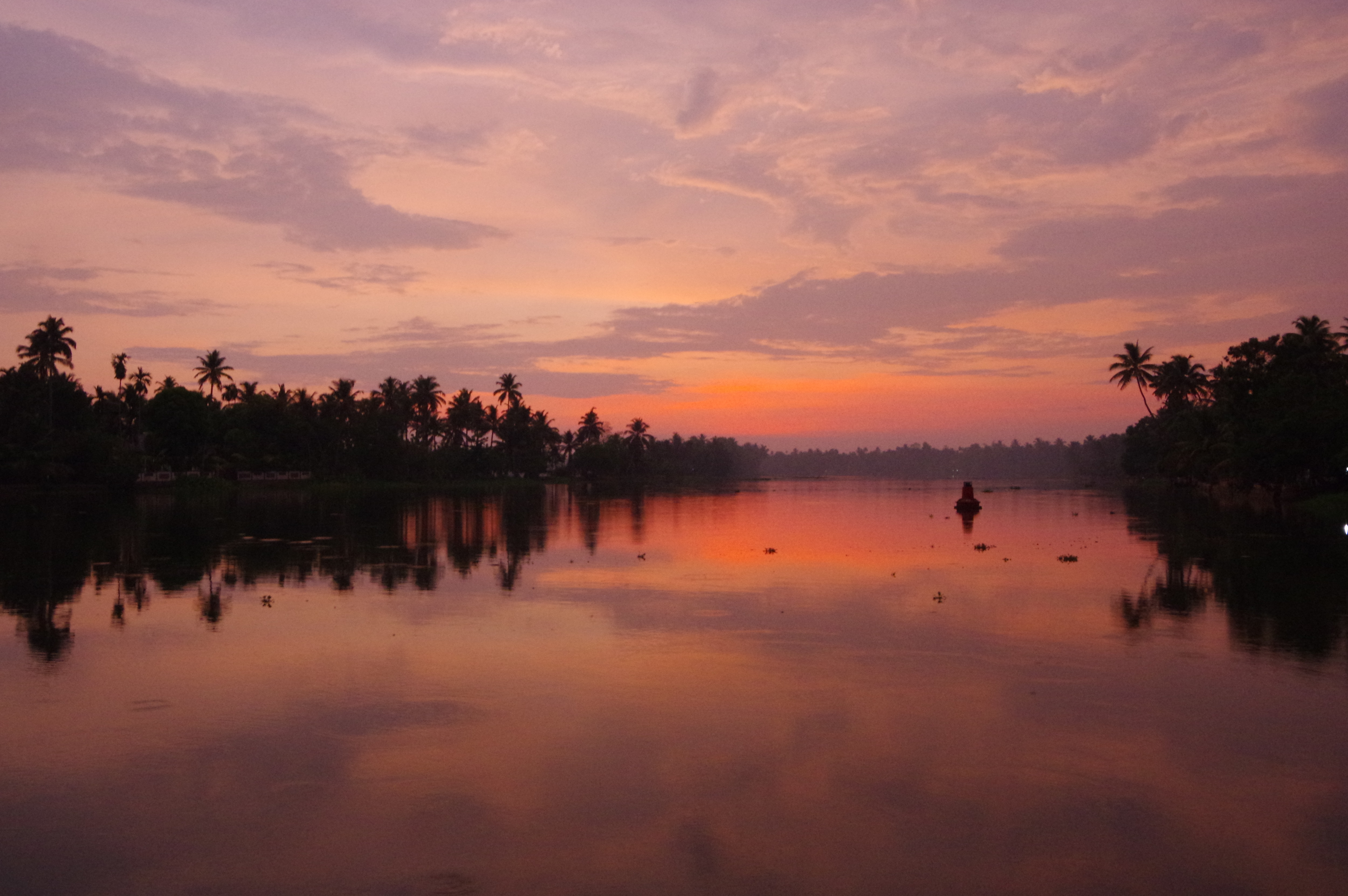 BACKWATER CRUISE, Things To Do in Kochi INDIA | hisgo U.S.A.
